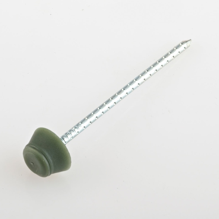 Drive Nails For Bitumen Sheet Green Pack of 50 | Selco